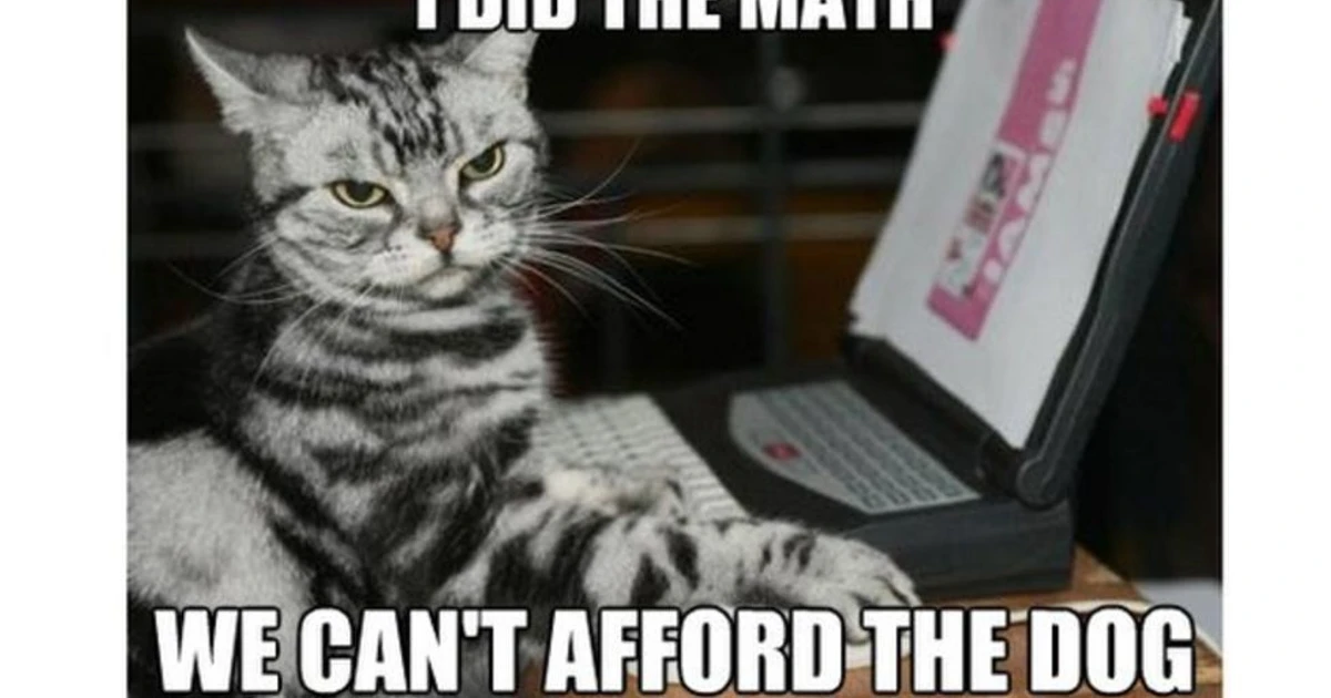 Know Your Meme And Create Your Own Meme Template